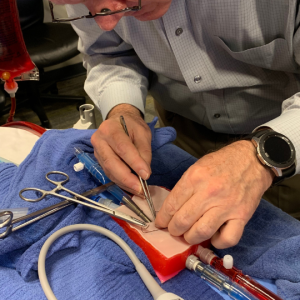 UPCOMING COURSES – ECMO Advantage